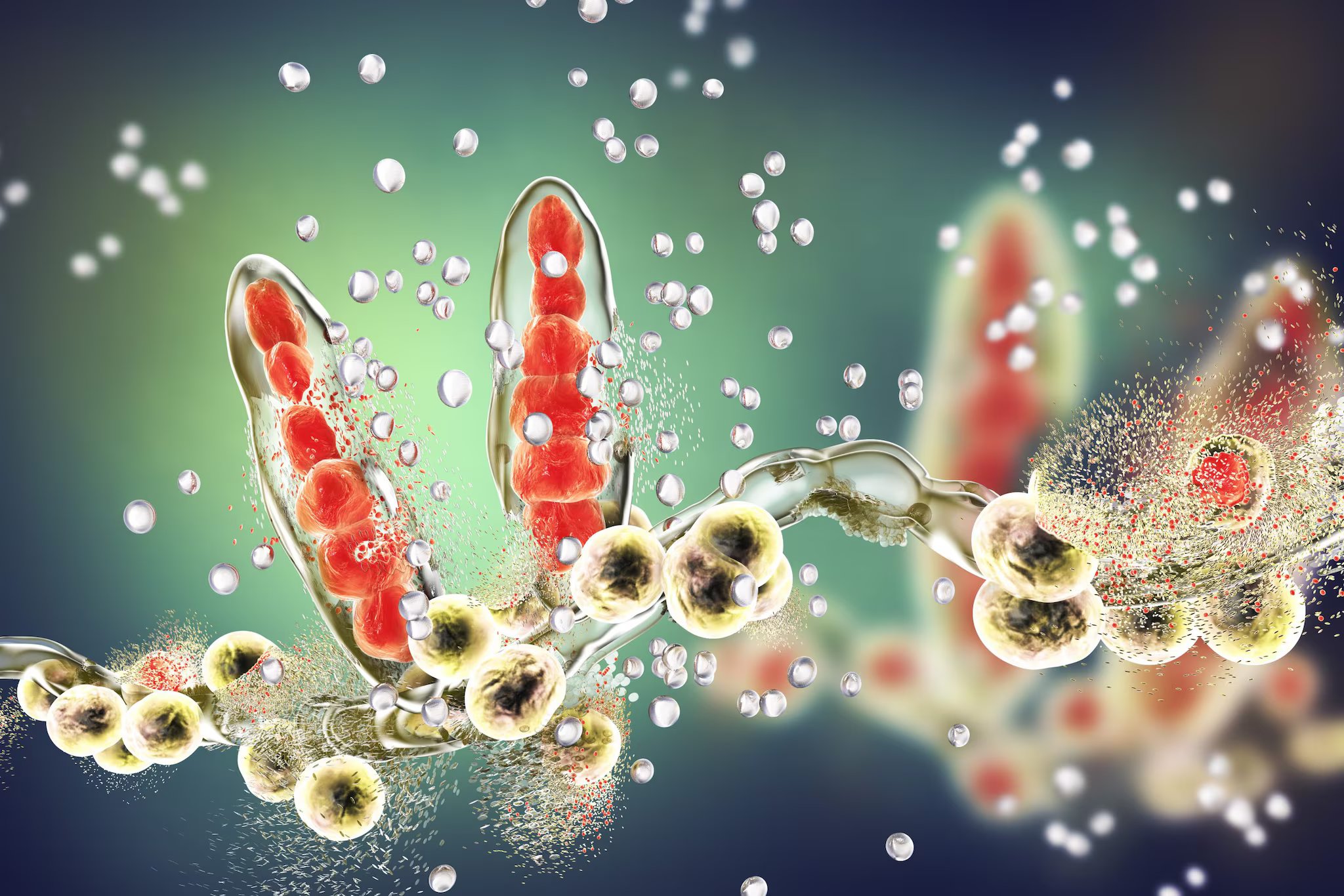 Fungal Infections: ఈ చిట్కాలు పాటిస్తే.. వర్షాకాలంలో ఫంగల్ ఇన్ఫెక్షన్స్ ...