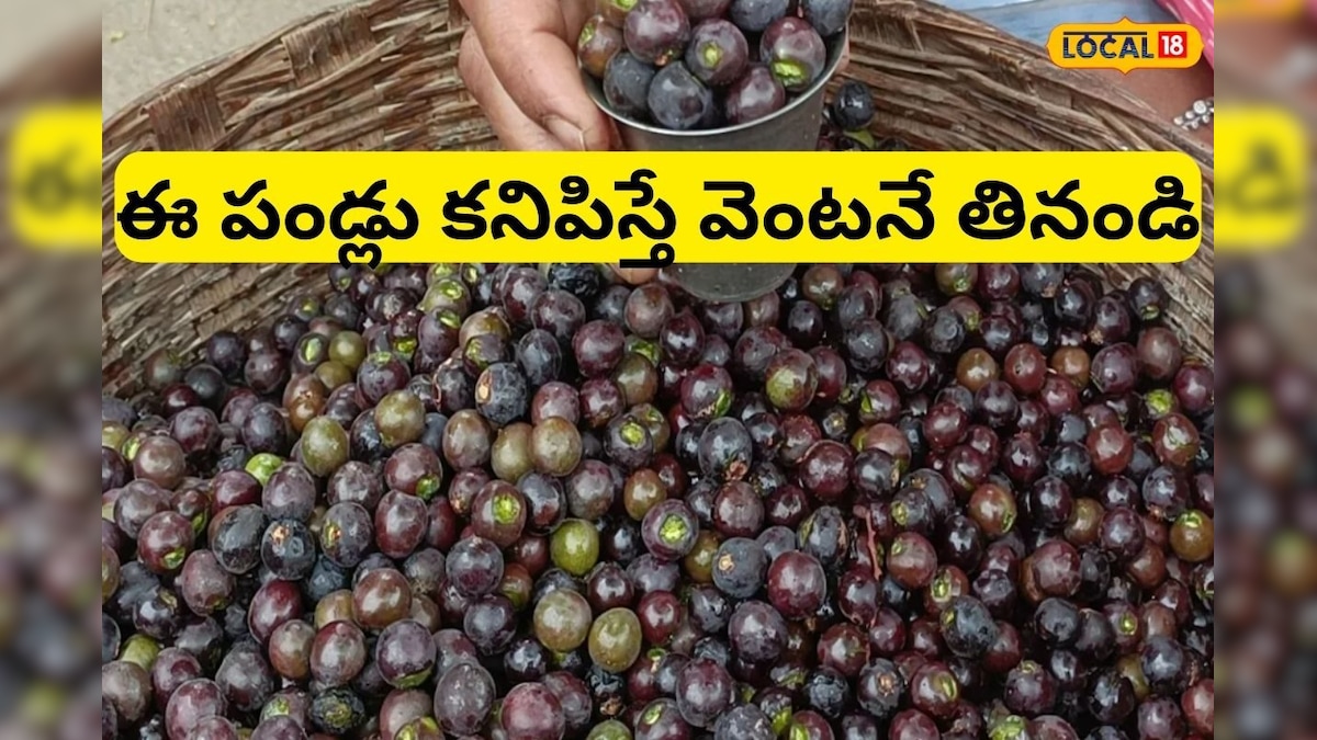 అరుదుగా దొరికే మొర్రి పండ్లు.. ఇప్పుడు రూ.10కే కొనండిలా | chironji ...