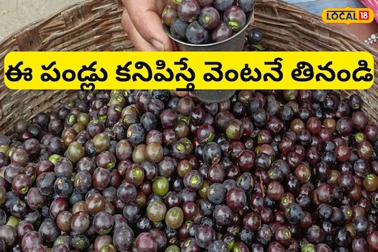 అరుదుగా దొరికే మొర్రి పండ్లు.. ఇప్పుడు రూ.10కే కొనండిలా | chironji ...