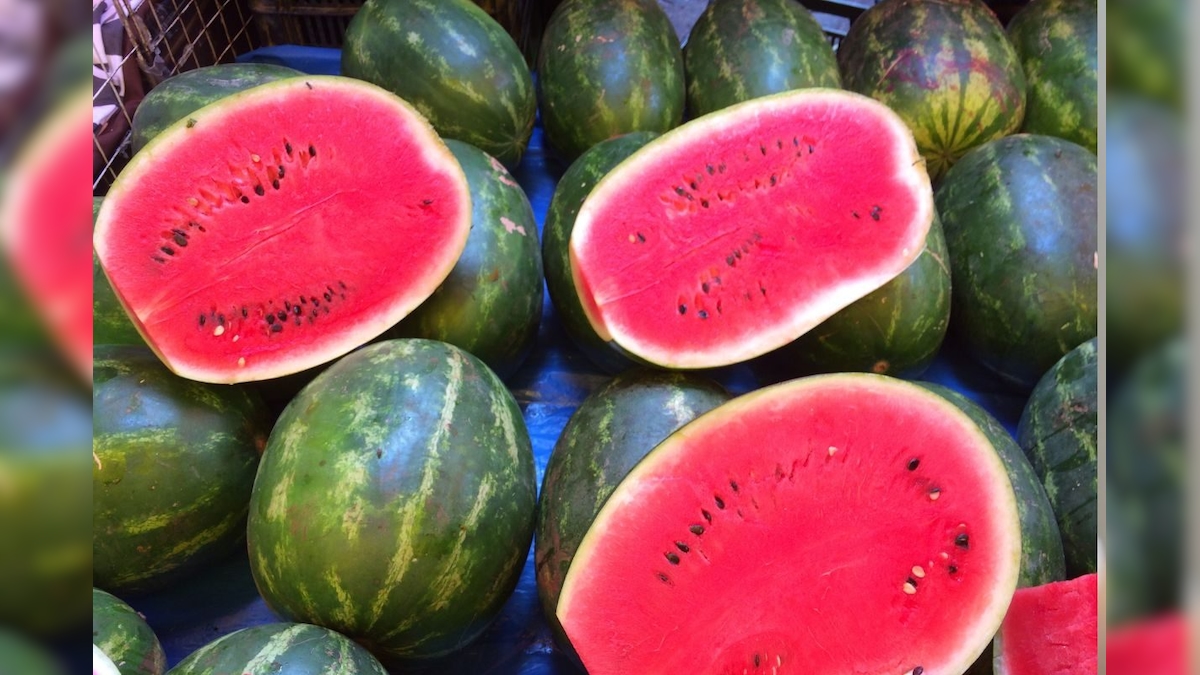 Watermelon: మంచి పుచ్చకాయను కొనడం కూడా ఓ ఆర్ట్ గురూ.. ఈ టిప్స్ పాటిస్తే ...