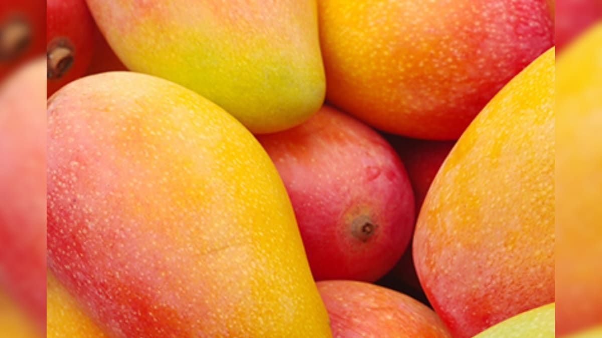 Mango Selection Tips: రంగు చూసి మోసపోకండి.. మామిడి పండ్లు కొనేముందు ఇవి ...