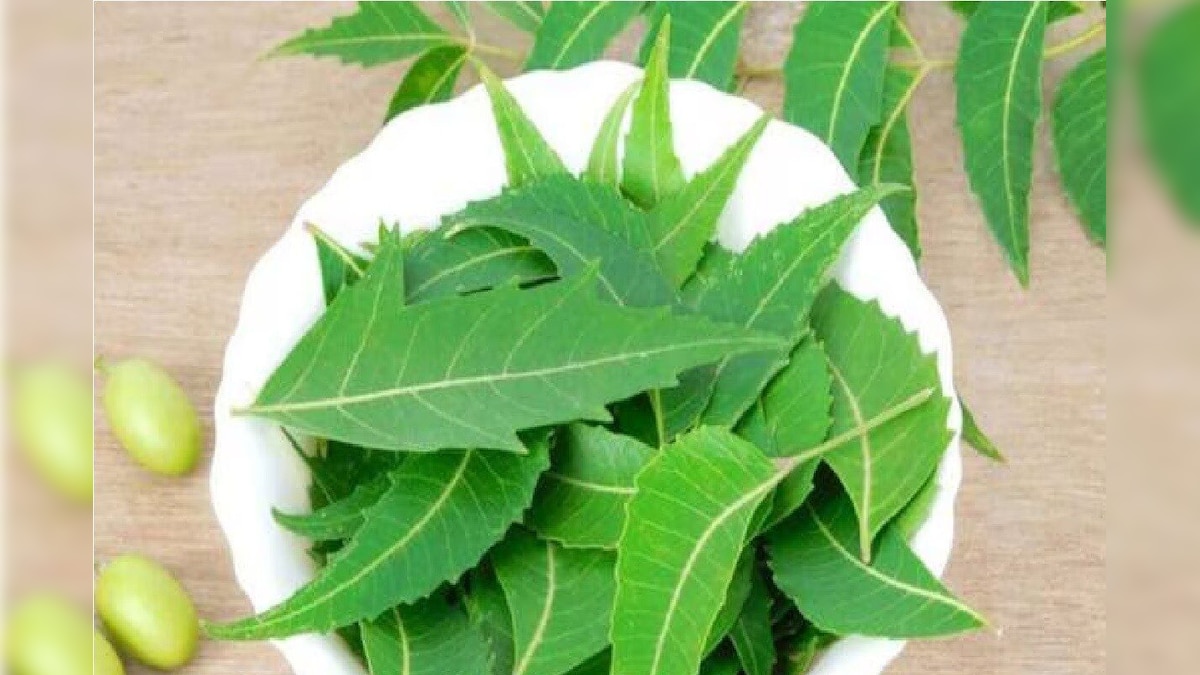 Neem Leaves: పొద్దున్నే ఖాళీ కడుపుతో ఇవి కొన్ని తింటే చాలు.. హెల్త్ ప్రాబ్లమ్ అనేదే రాదు ...