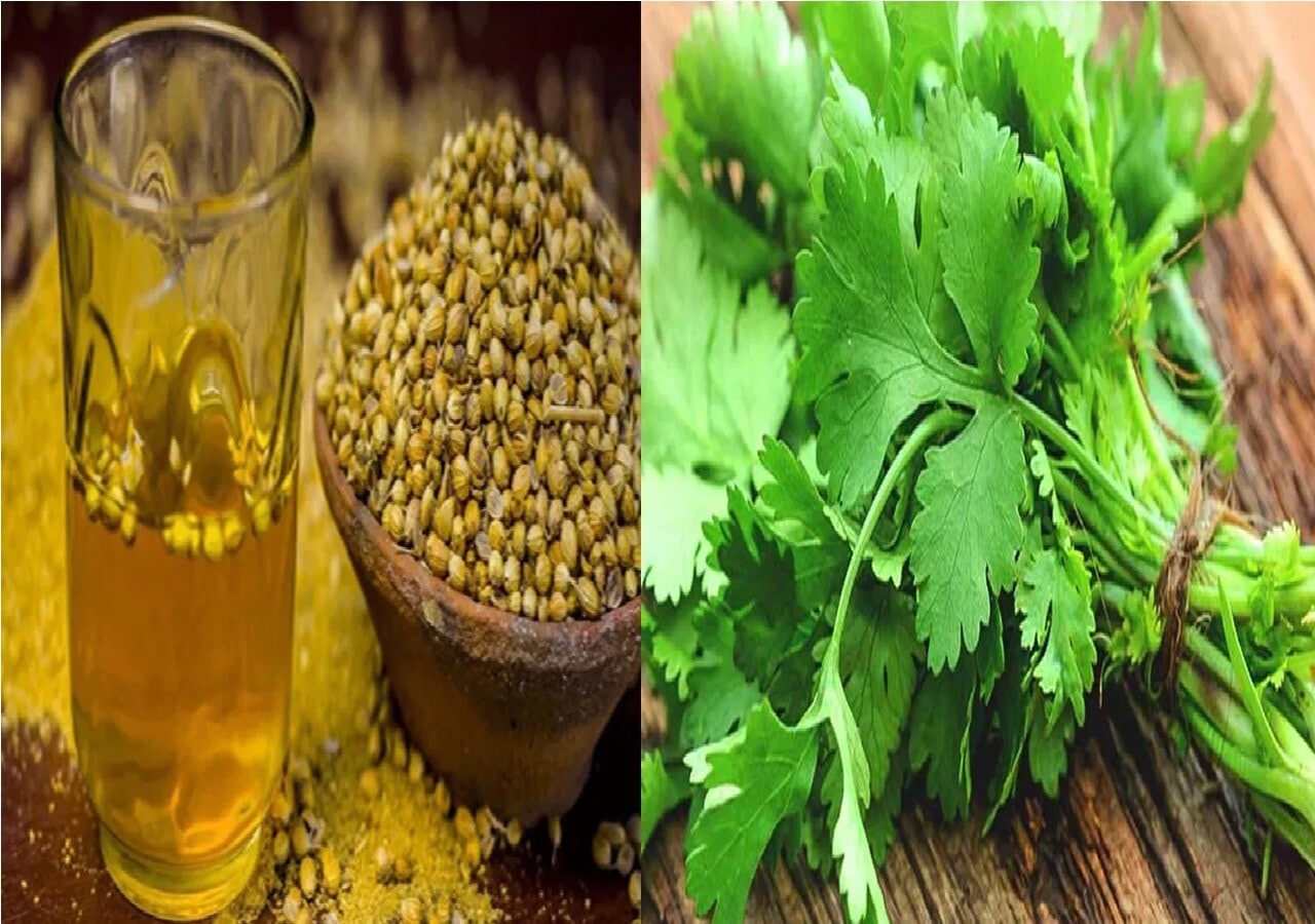 Uric Acid Control Tips: ఈ ఆకులు తింటే యూరిక్ యాసిడ్ తగ్గుతుంది..! | Uric Acid Control Tips: 5 ...