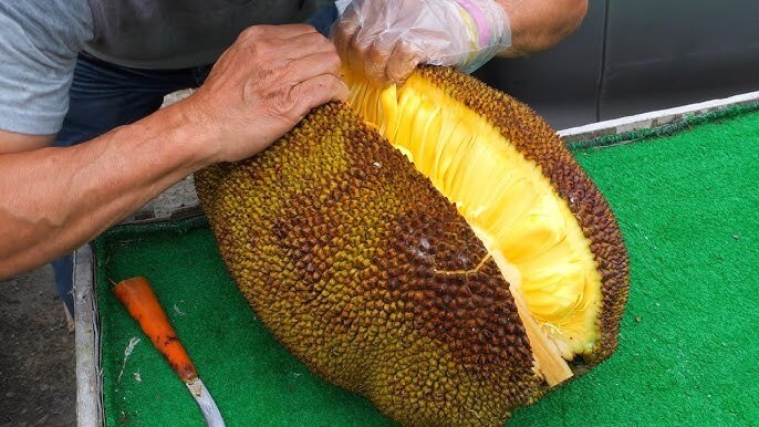 Jack Fruit: వీళ్లు పనస తొనలు ఎట్టి పరిస్థితుల్లో తినకూడదు.. ఎంత దూరంగా ...