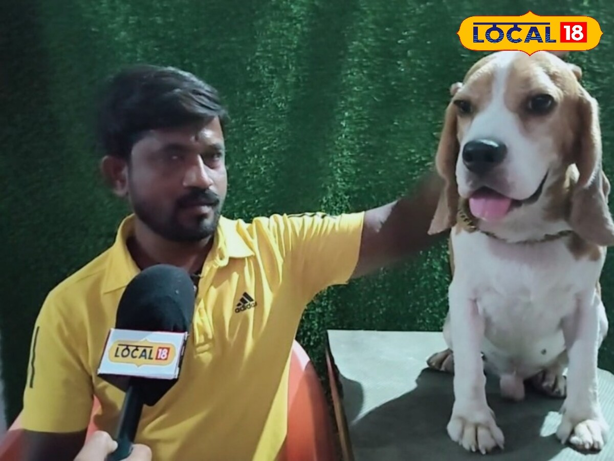 ఈ డాగ్ ఎక్కడికి వెళ్ళినా.. బహుమతుల పంటే.. స్పెషల్ ఏంటంటే.. This dog ...