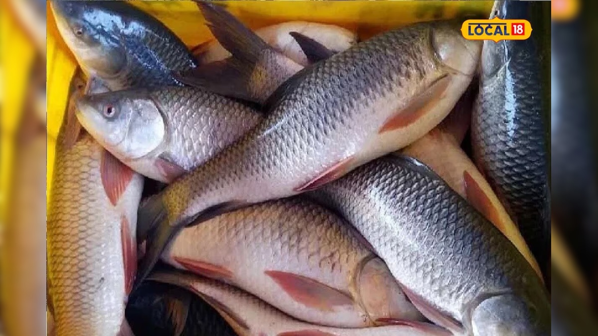 Fish: రూ.10కే కేజీ చేపలు.. ఎక్కడంటే.. | kilo fish for rs 10 at market ...