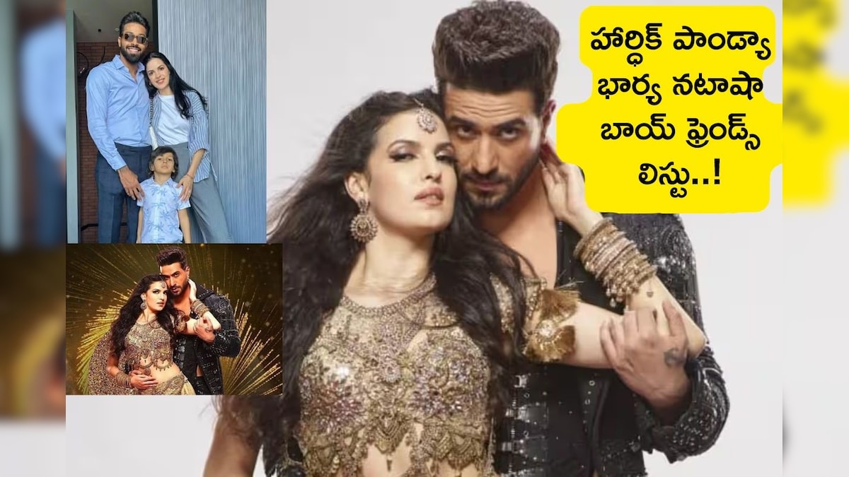 హార్ధిక్ పాండ్యా భార్య నటాషా అఫైర్స్ లిస్ట్ ఇదే|natasa stankovic dated by ally goni before ...