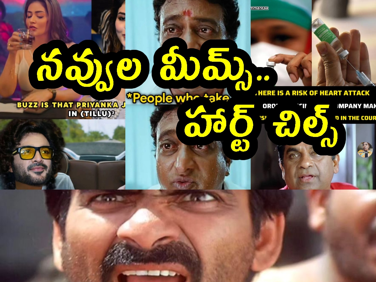 Funny Memes: నవ్వుల మీమ్స్.. హార్ట్ చిల్స్ | telugu fun memes of ...