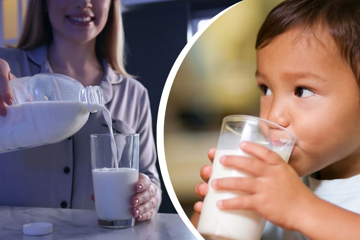 Milk: పాలు తాగడానికి సరైన సమయం ఏది? ఆయుర్వేదం ఏం చెబుతుందో తెలుసా ...
