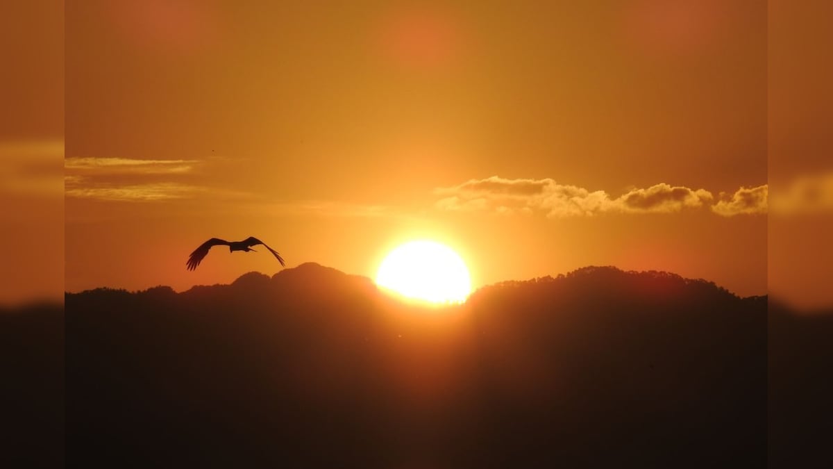 సూర్యుడు తూర్పున కాకుండా పడమర వైపు ఉదయిస్తే .. ఏమౌతుందో తెలుసా|why sun ...