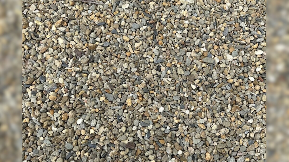 ఫోటోలో రాళ్ల మధ్య బొమ్మను గుర్తు పట్టండి చూద్దాం.. 12 సెకన్లే ...