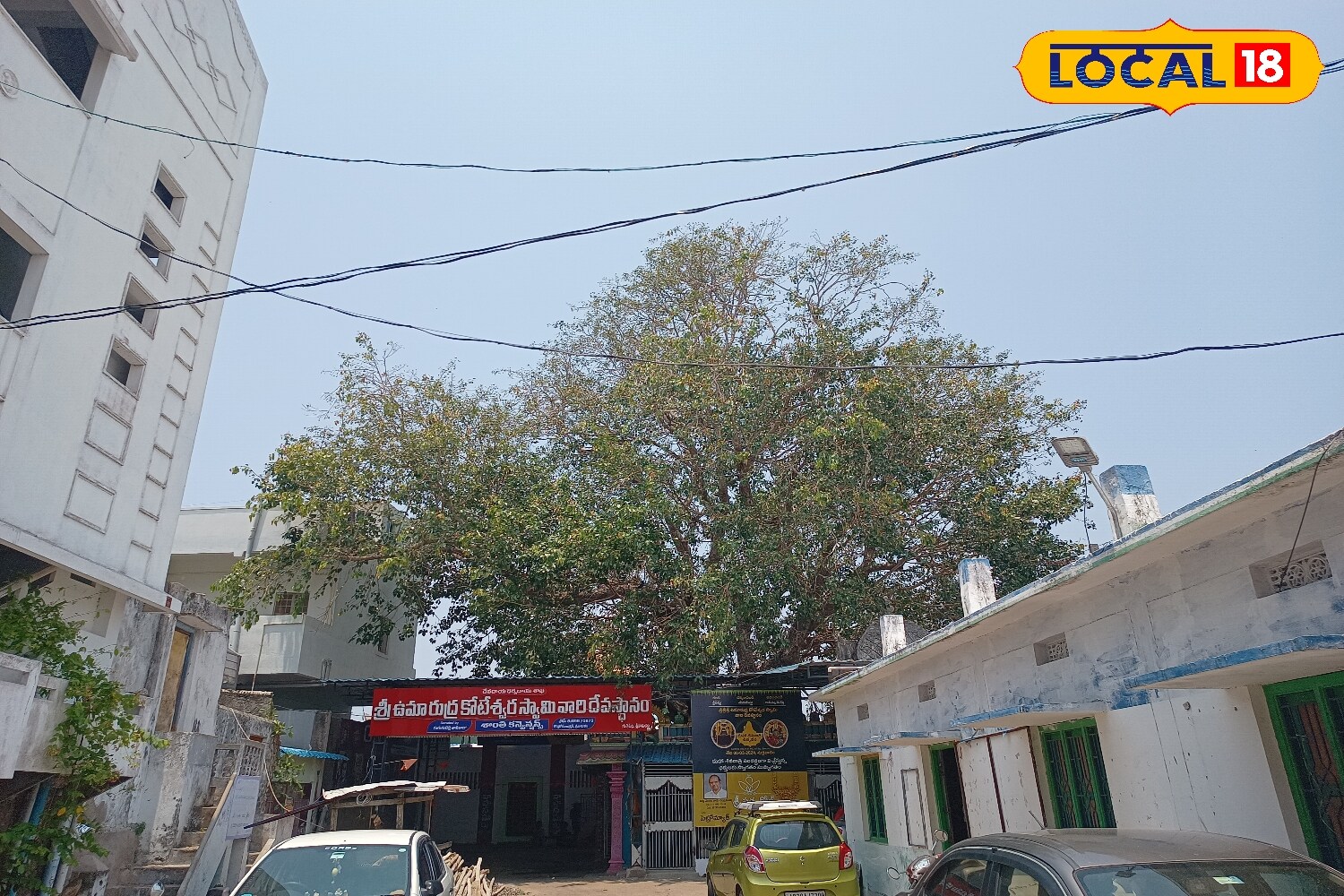 ఈ రావి చెట్టుకు 400 ఏళ్ల చరిత్ర... ఇక్కడ 108 సార్లు ప్రదక్షిణలు చేస్తే ...