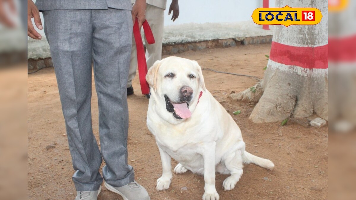 ఈ తార సేవలకు మెచ్చి.. సన్మానం చేసిన పోలీసు సిబ్బంది..A retired dog ...