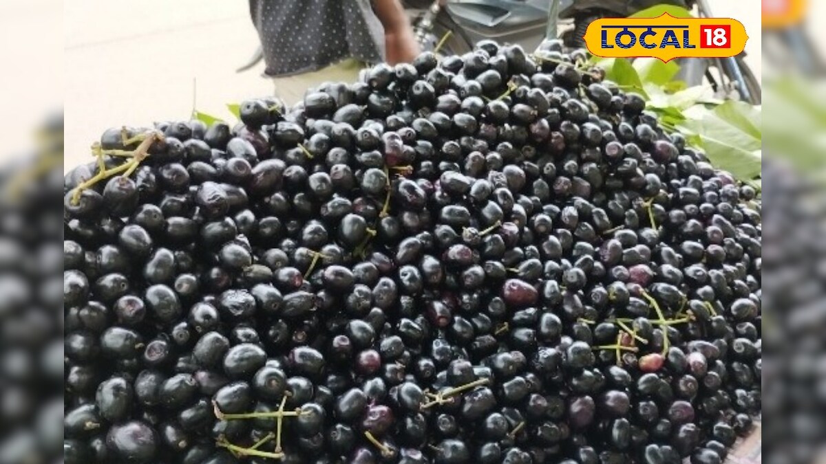 ఈ నేరేడు అమ్మిన వారికి అదాయం.. తిన్నవారికి ఆరోగ్యం..apricot-has-many ...