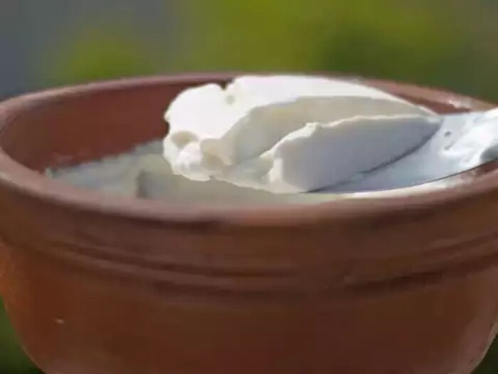 Curd: మీరు పెరుగుతో పాటు ఈ ఫుడ్స్ కలిపి తింటున్నారా.. యముడికి పిలుపు ...
