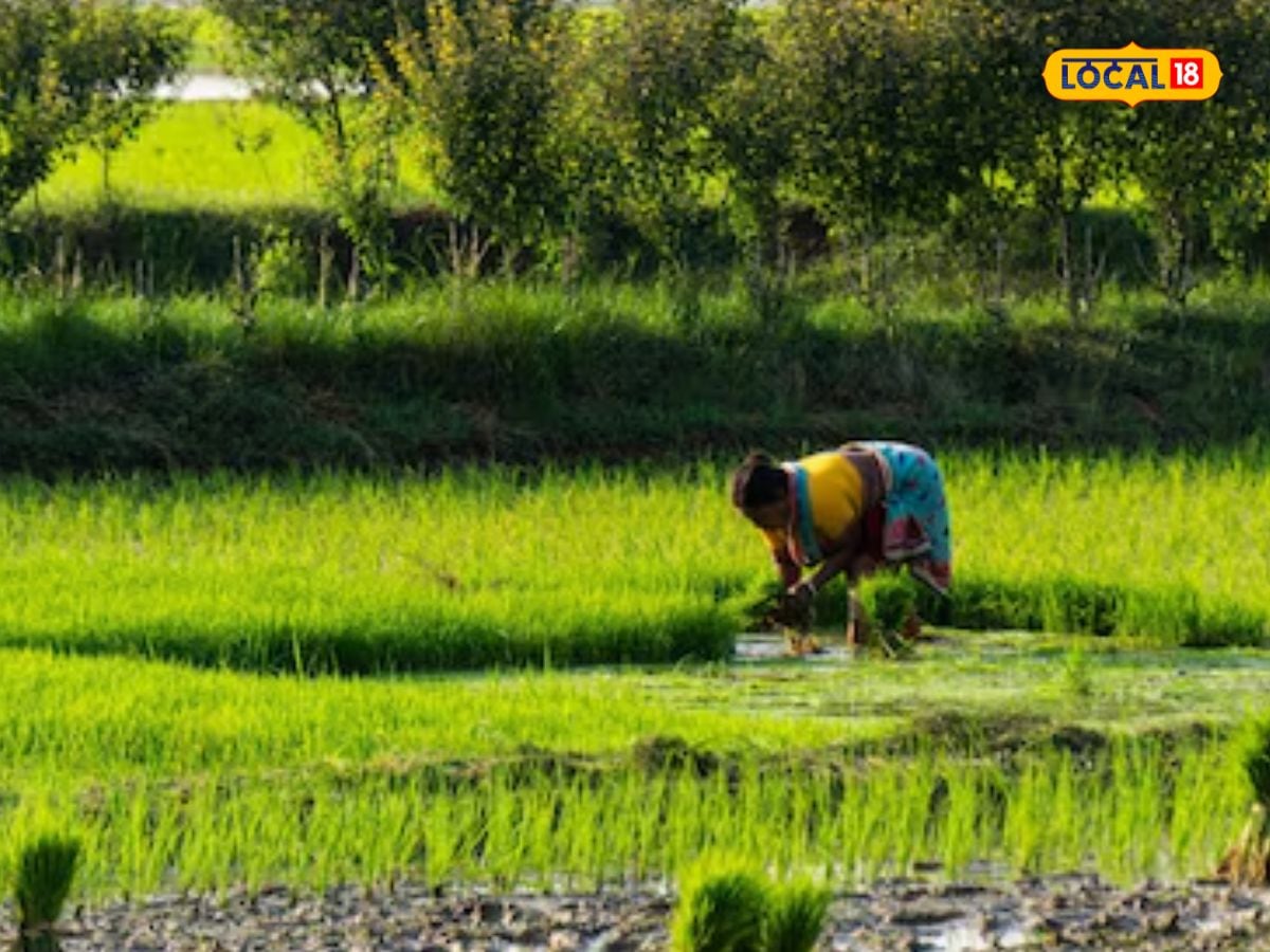 Rythu Runamafi: రైతులకు భారీ శుభవార్త.. అంకౌట్లో రూ.2 లక్షలు పడేది ...