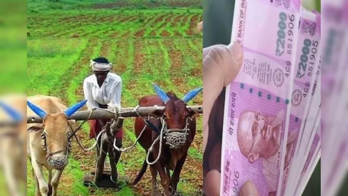 Rythu Bima: రైతు కుటుంబాలకు రూ.5 లక్షలు స్కీమ్.. వెంటనే దరఖాస్తు ...