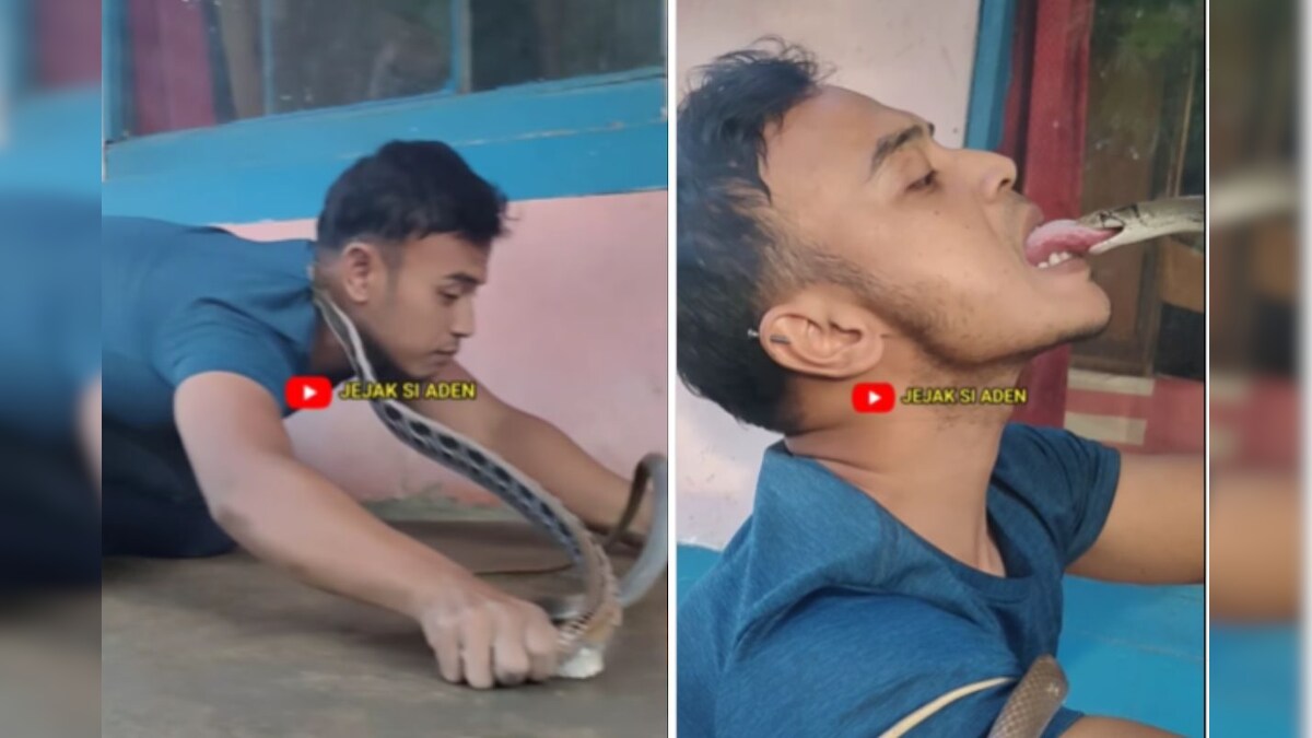 ఓరి వీడు పాసుగాల.. పాము నోట్లో నాలుక పెట్టాడేంటి.. వీడియో వైరల్|oh god ...