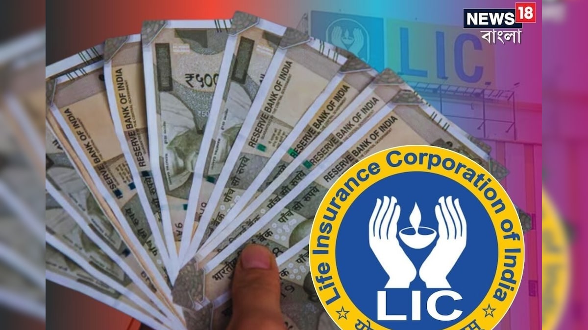 LIC Policy: ఎల్ఐసీలో ఈ 5 ప్లాన్స్‌లలో మీకు అకౌంట్ ఉందా.. ఈ భారీ మర్పులు ...