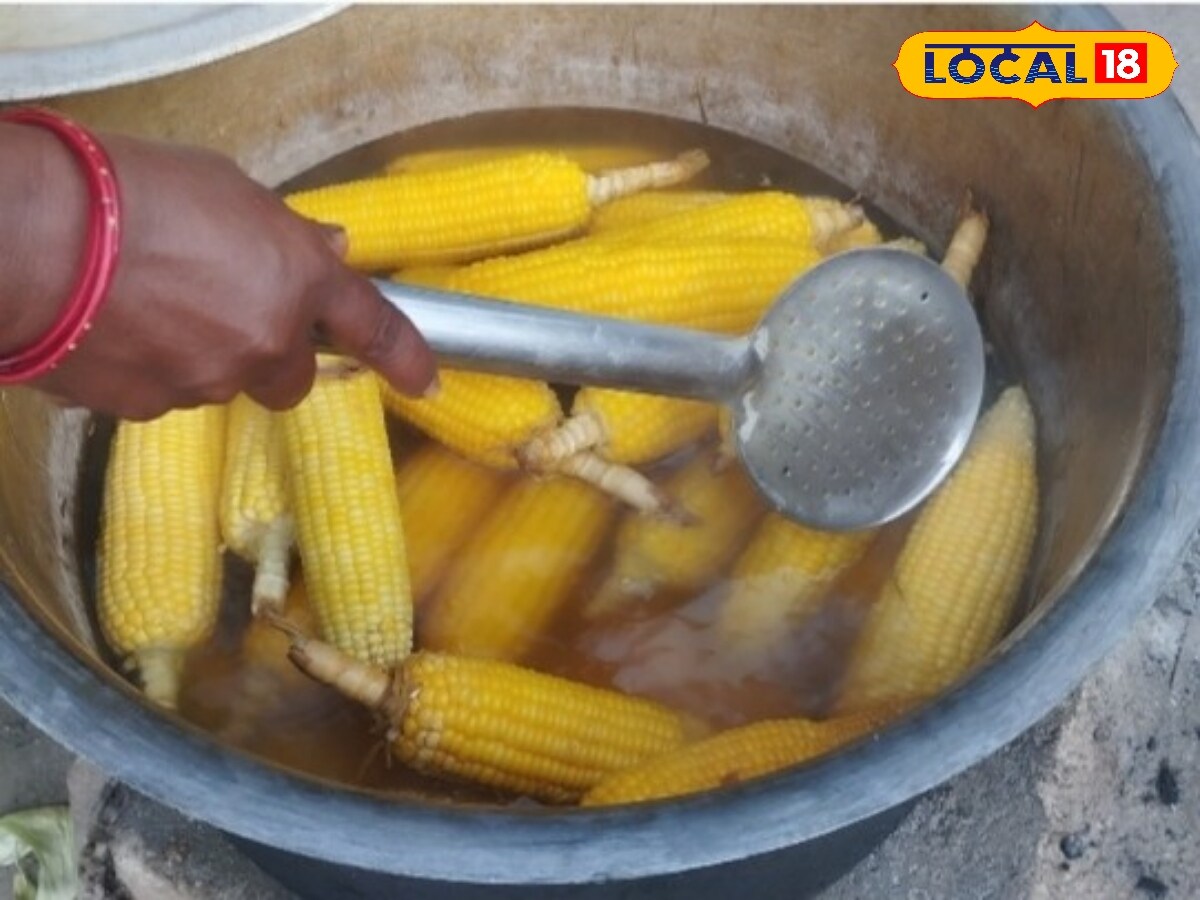 There is a growing demand for boiled corn among people adb slm vb ...