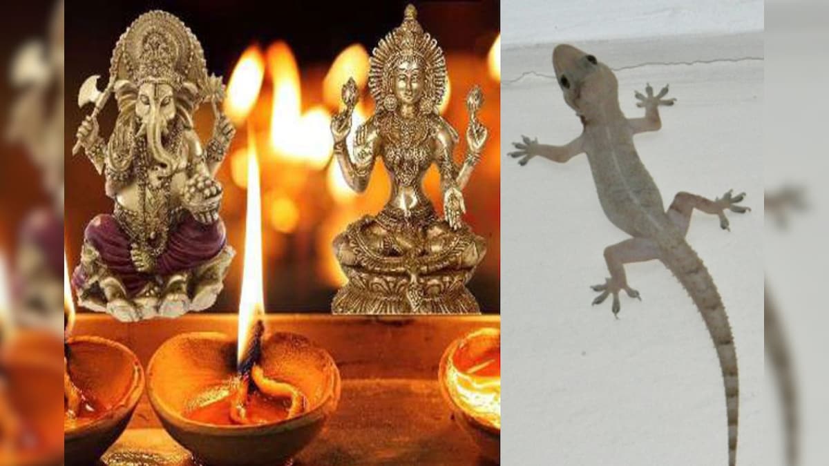 Diwali 2024: దీపావళి రోజు బల్లి ఇంట్లోకి వస్తే దానికి సంకేతం ఇదే ...