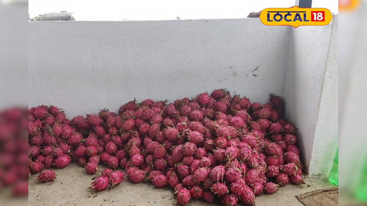 ఆధునిక పంటలవైపు జిల్లా రైతులు అడుగులు.. ఆ పంట సాగుతో లాభాలే లాభాలు ...