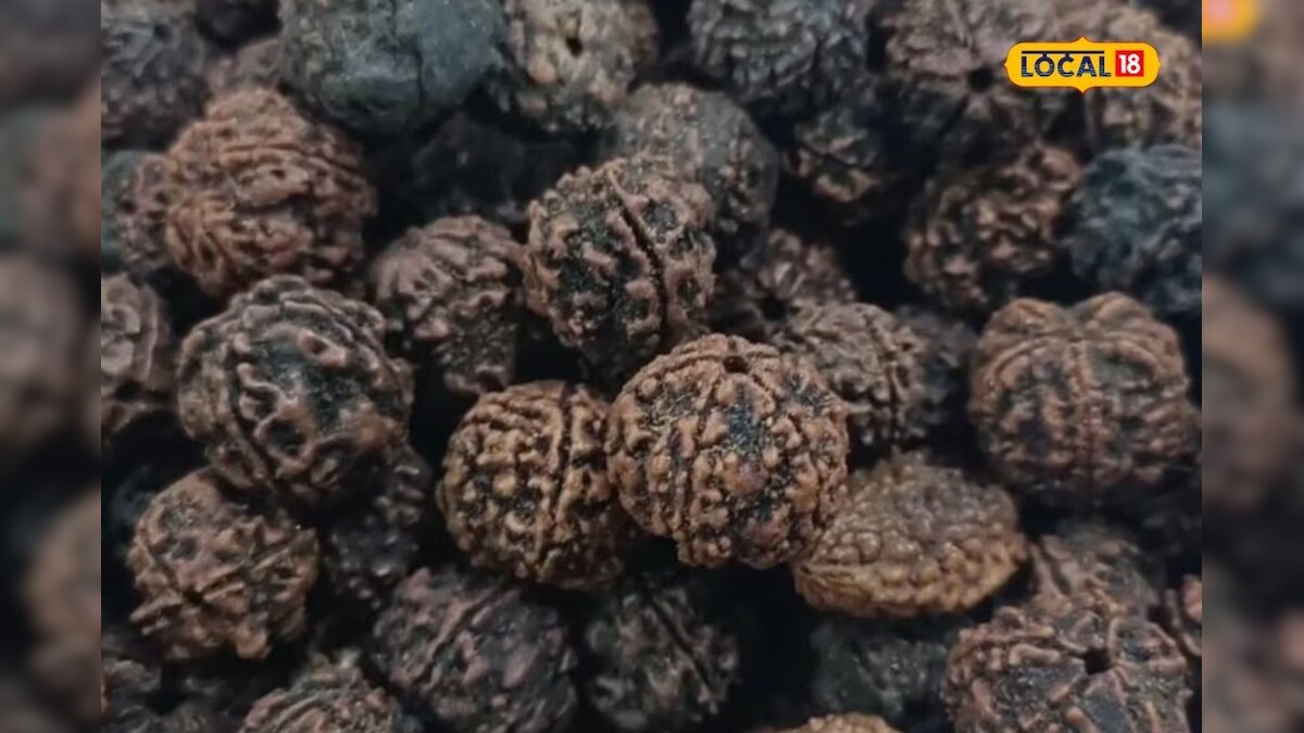 Fake Rudraksha: నకిలీ రుద్రాక్షలను ఎలా గుర్తించాలి.. చాలా సింపుల్ ఇలా ...