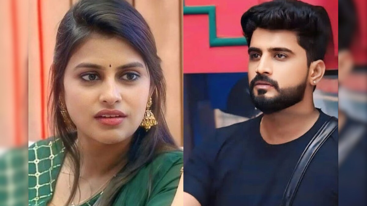 Bigg Boss 8 Sonia: బిగ్ బాస్ హౌస్‌లోకి మళ్లీ వచ్చిన సోనియా ...