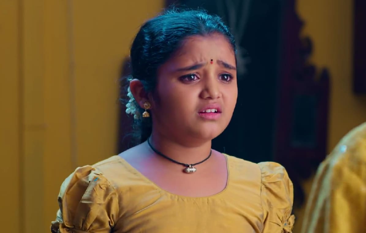 Chinni Serial Today November 11th Episode: అది వాళ్ళ అమ్మ కలిసి మన ...