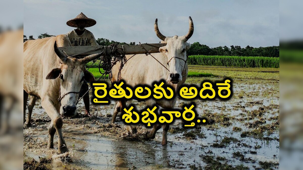 Annadata Sukhibhava scheme: అన్నదాత సుఖీభవ పథకంపై మంత్రి సంచలన హామీ ...