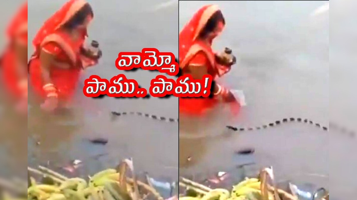 Chhath Puja Snake Video: దైవ మాయ! మహిళ దగ్గరకు ఆ పాము.. వీడియో చూస్తే ...
