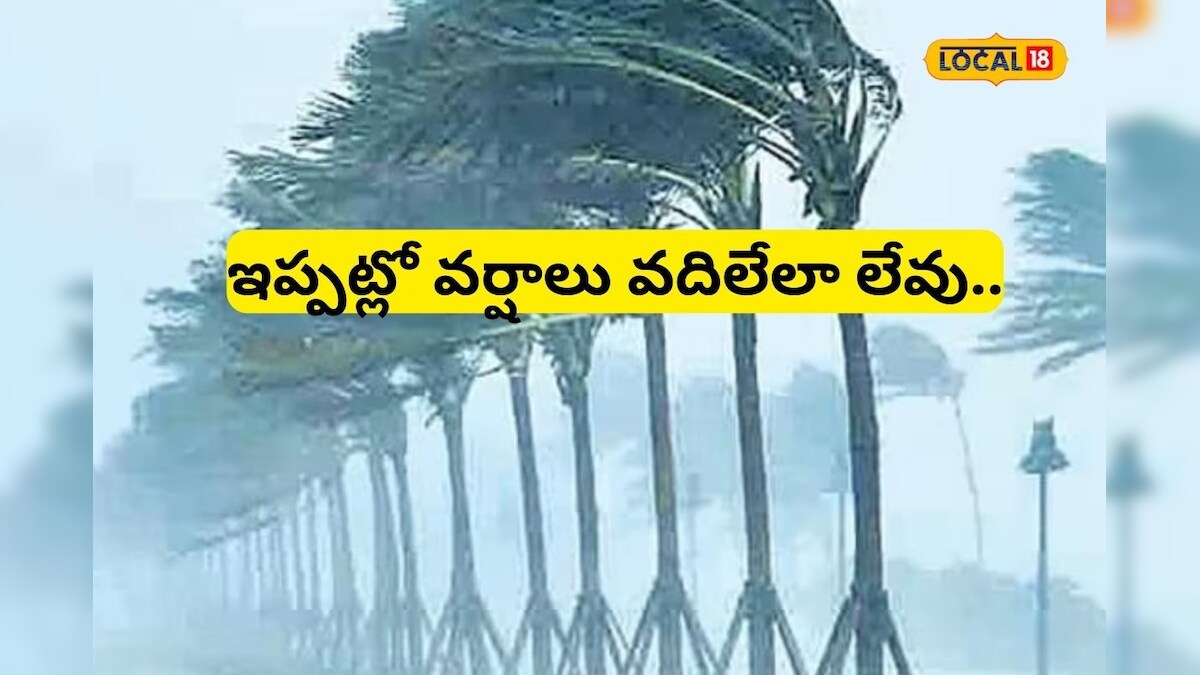 AP Rains Forecast: సముద్రంలోనే‌ ఉంటూ భారీ వర్షాలు కురిపిస్తూ.. వాతావరణ ...