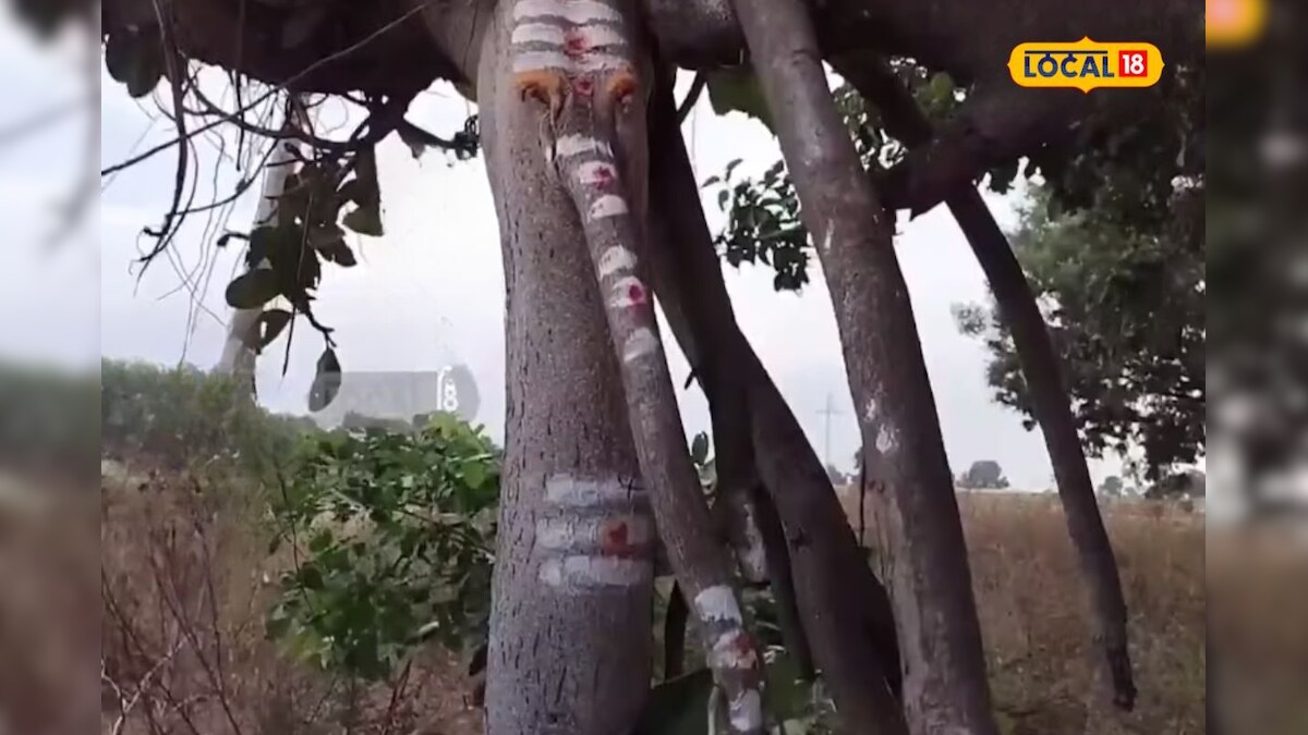 Trending: కలలో కనిపించింది.. కళ్లు తెరిచి చూస్తే అద్భుతం! | Villagers ...