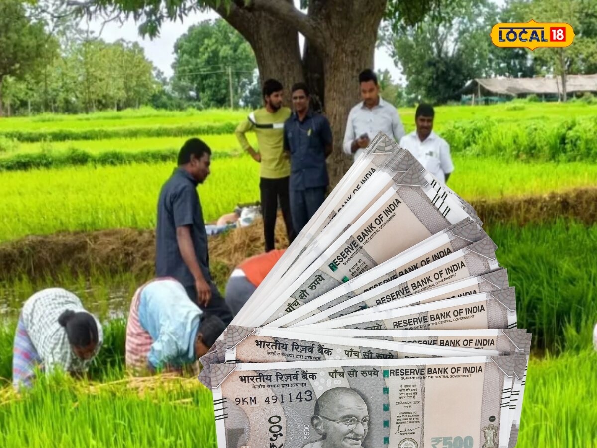 Crop Subsidy: రైతులకు ప్రభుత్వం భారీ శుభవార్త.. నేరుగా అకౌంట్‌లోకి రూ ...