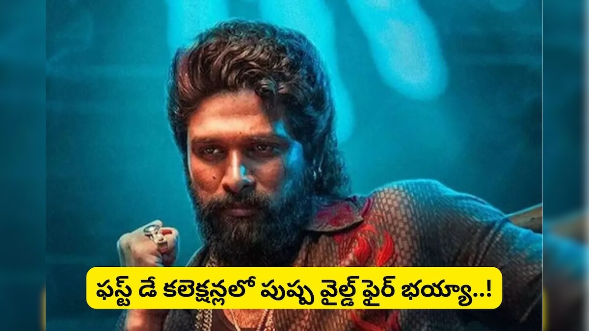 Pushpa 2: రికార్డుల రపరప.. ఫస్ట్ డే కలెక్షన్లలో పుష్ప వైల్డ్ ఫైర్ భయ్యా ...