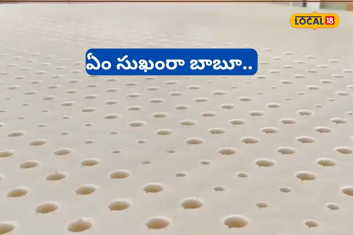 Latex Mattresses Benefits: చెట్టు గుజ్జు నుంచి తయారయ్యే పరుపులు ...