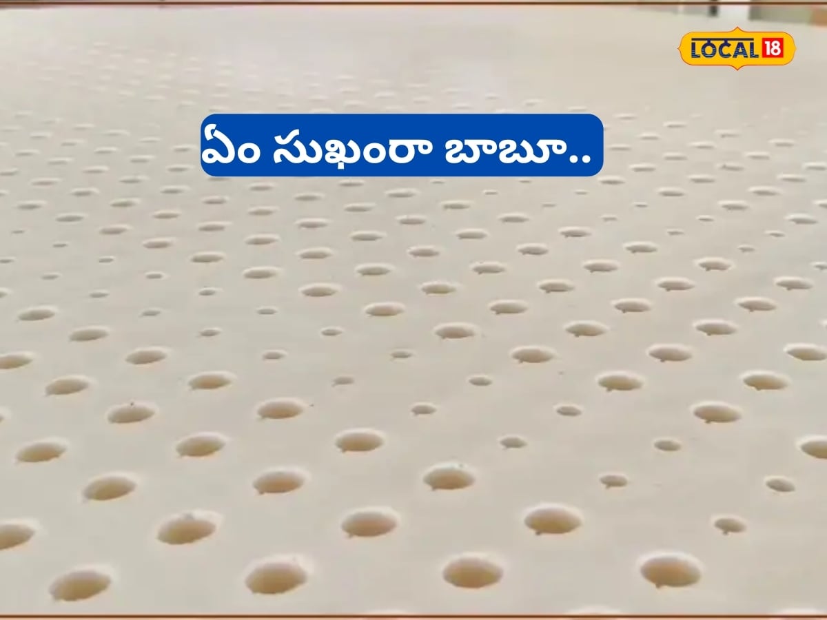 Latex Mattresses Benefits: చెట్టు గుజ్జు నుంచి తయారయ్యే పరుపులు ...