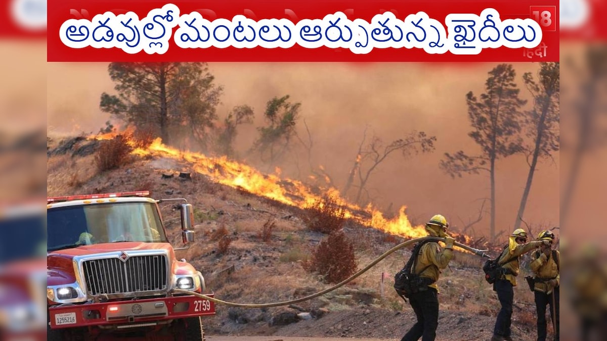 California Los Angeles Forest Fire: ఖైదీలకు వరంగా మారిన కాలిఫోర్నియా ...