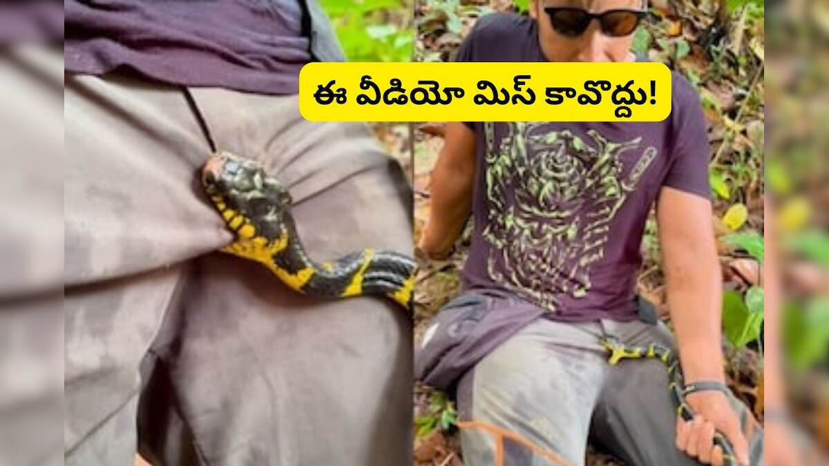Snake bite: యువకుడి ప్రైవేట్ పార్ట్‌ను కరిచిన పాము.. తర్వాత ఏం జరిగిందో ...