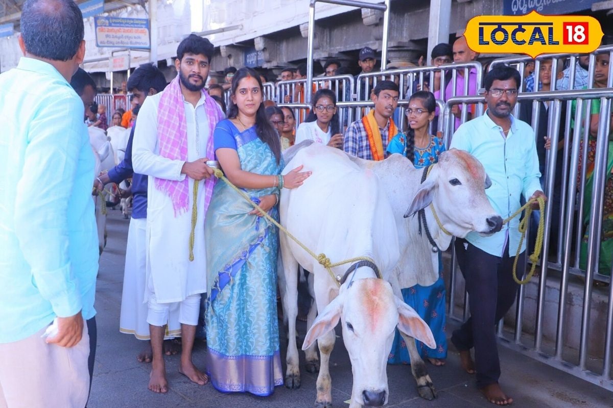 వేములవాడలోనే కాదు... ఈ ఆలయంలో కూడా కోడె మొక్కులు చెల్లించవచ్చు | Not ...