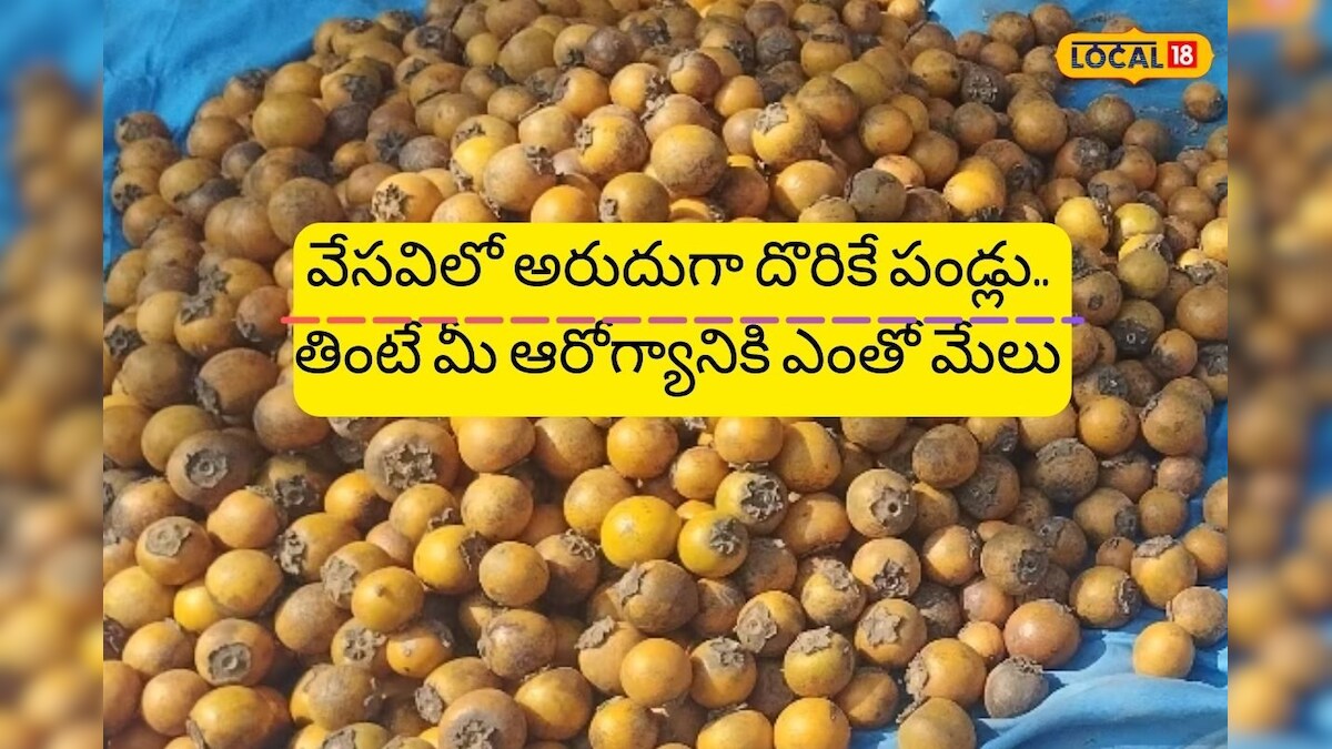 Tuniki Fruit: ఈ పండు పోషకాల గని.. కనిపిస్తే అస్సలు వదలొద్దు | These ...