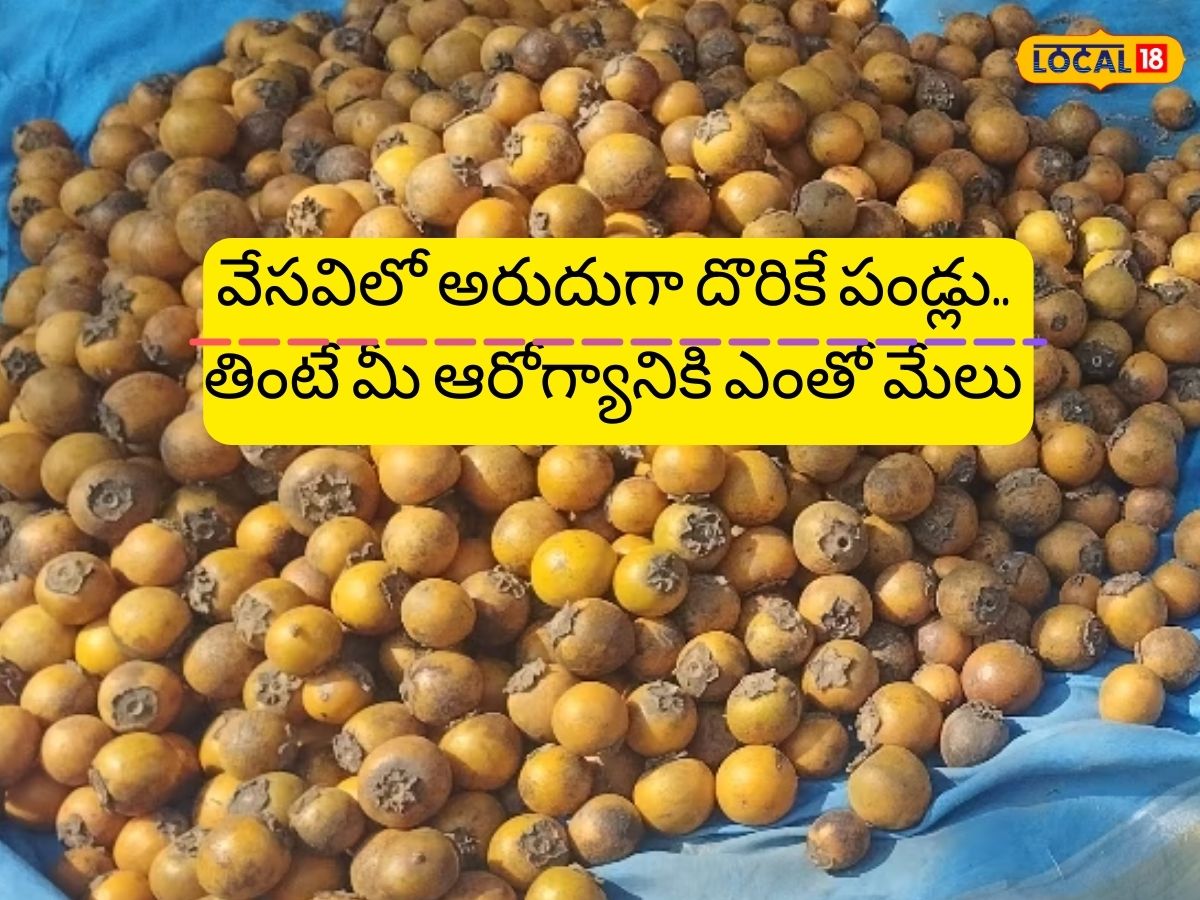 Tuniki Fruit: ఈ పండు పోషకాల గని.. కనిపిస్తే అస్సలు వదలొద్దు | These ...