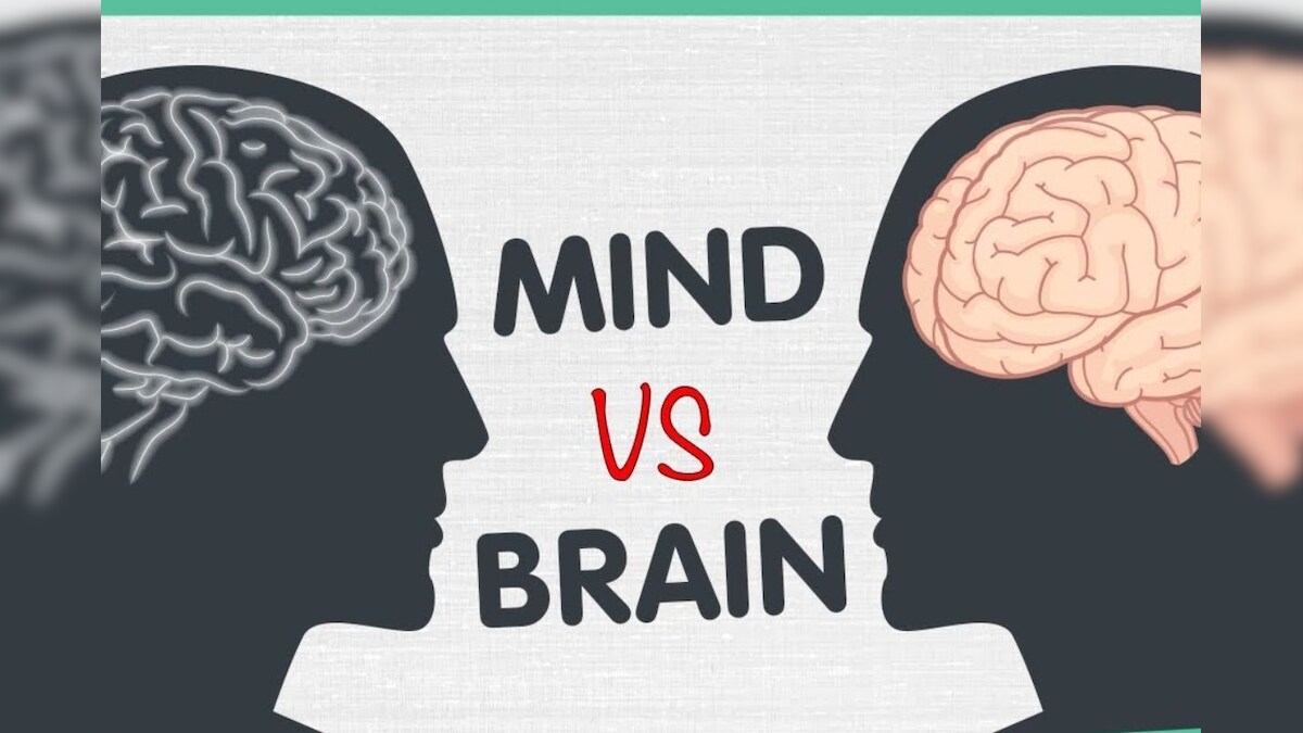 Brain vs Mind: బ్రెయిన్‌ వర్సెస్ మైండ్‌.. రెండింటి మధ్య తేడా తెలుసా ...