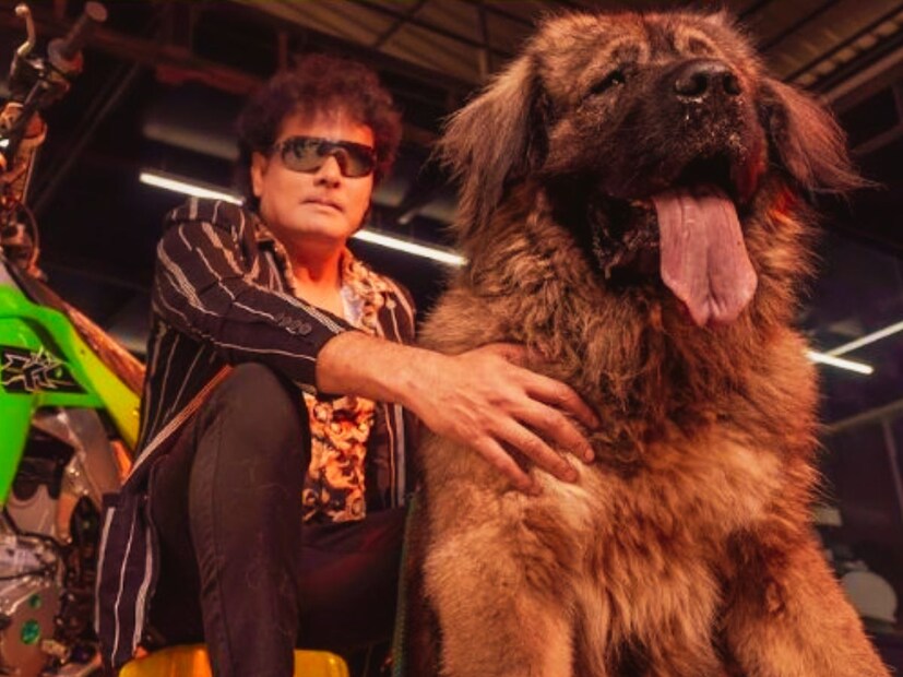 Rare Dog -Cadabomb Okami Sold For 50 crores: కుక్కకు రూ.50 కోట్లు ఏంటి ...