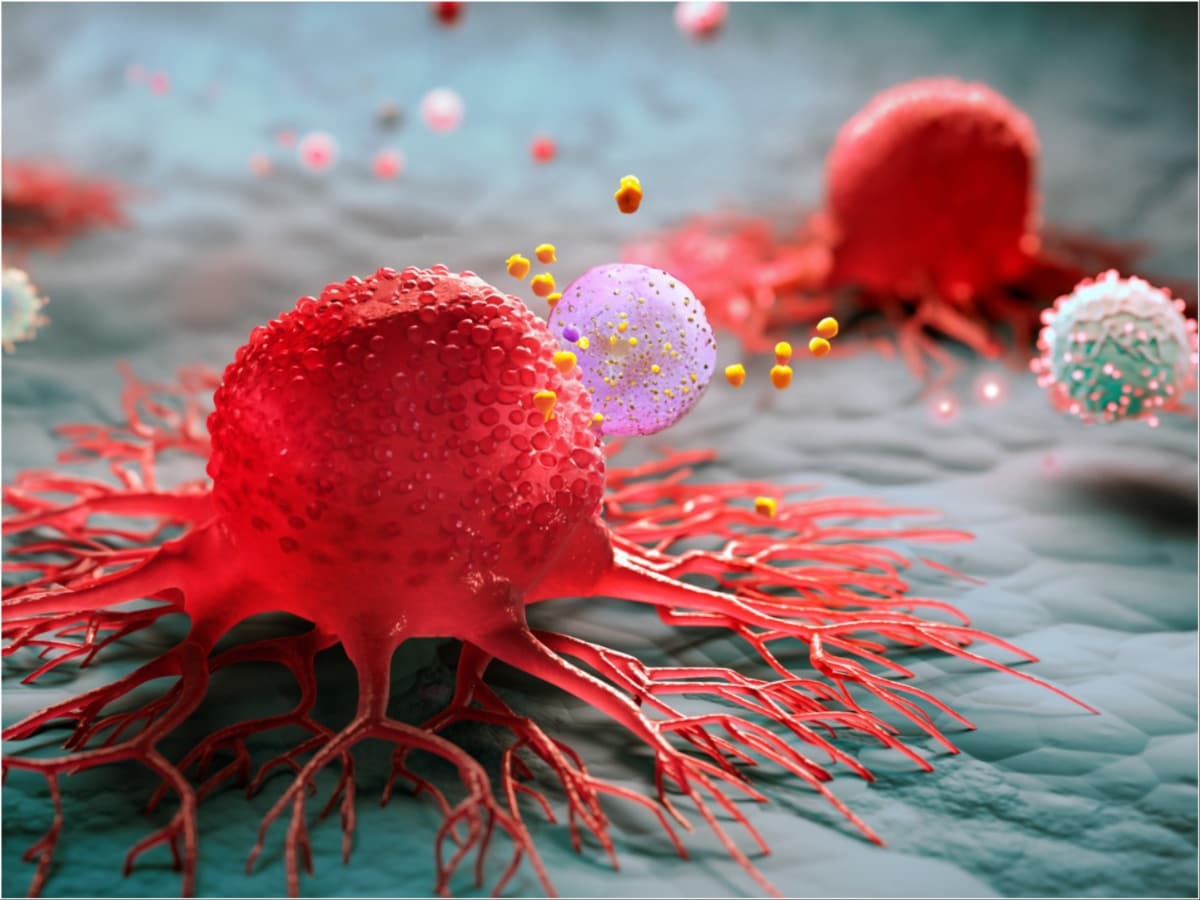 Cancer: ఈ లక్షణాలు కనిపిస్తే క్యాన్సర్ టెస్ట్ చేయించుకోవాల్సిందే.. అలసట ...