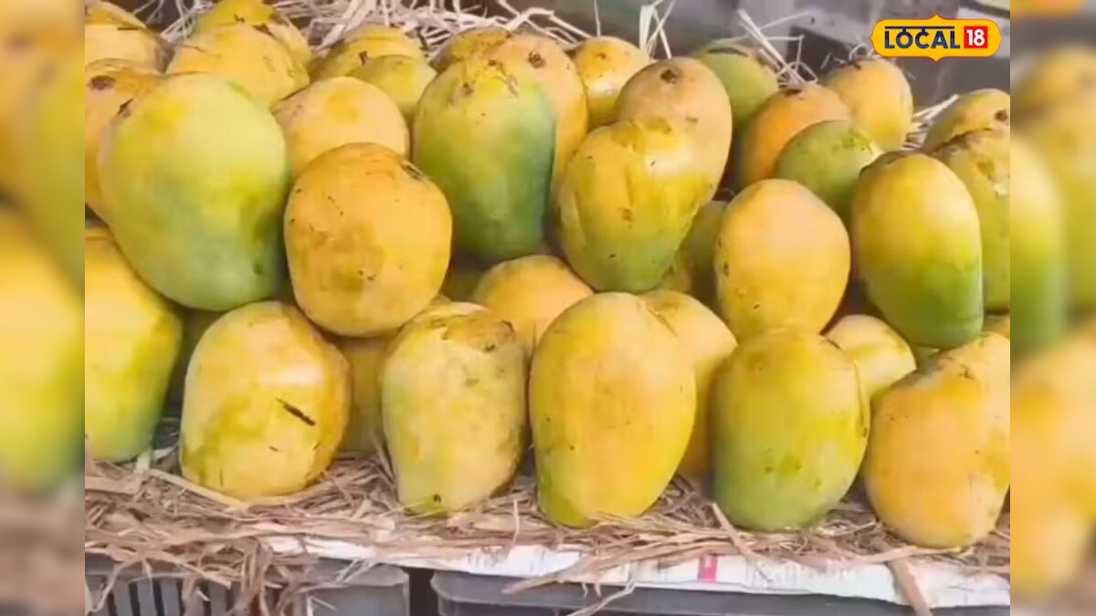 Mangoes Price: భారీగా పతనమైన మామిడి పండ్ల రేట్లు.. ఇప్పుడు కిలో ఎంతంటే ...