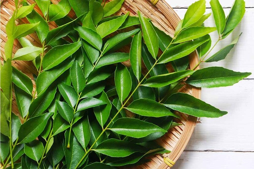 Curry leaves: బయట మార్కెట్‌లో కరివేపాకు కొంటున్నారా?.. అయితే ఇలా క్లీన్ ...