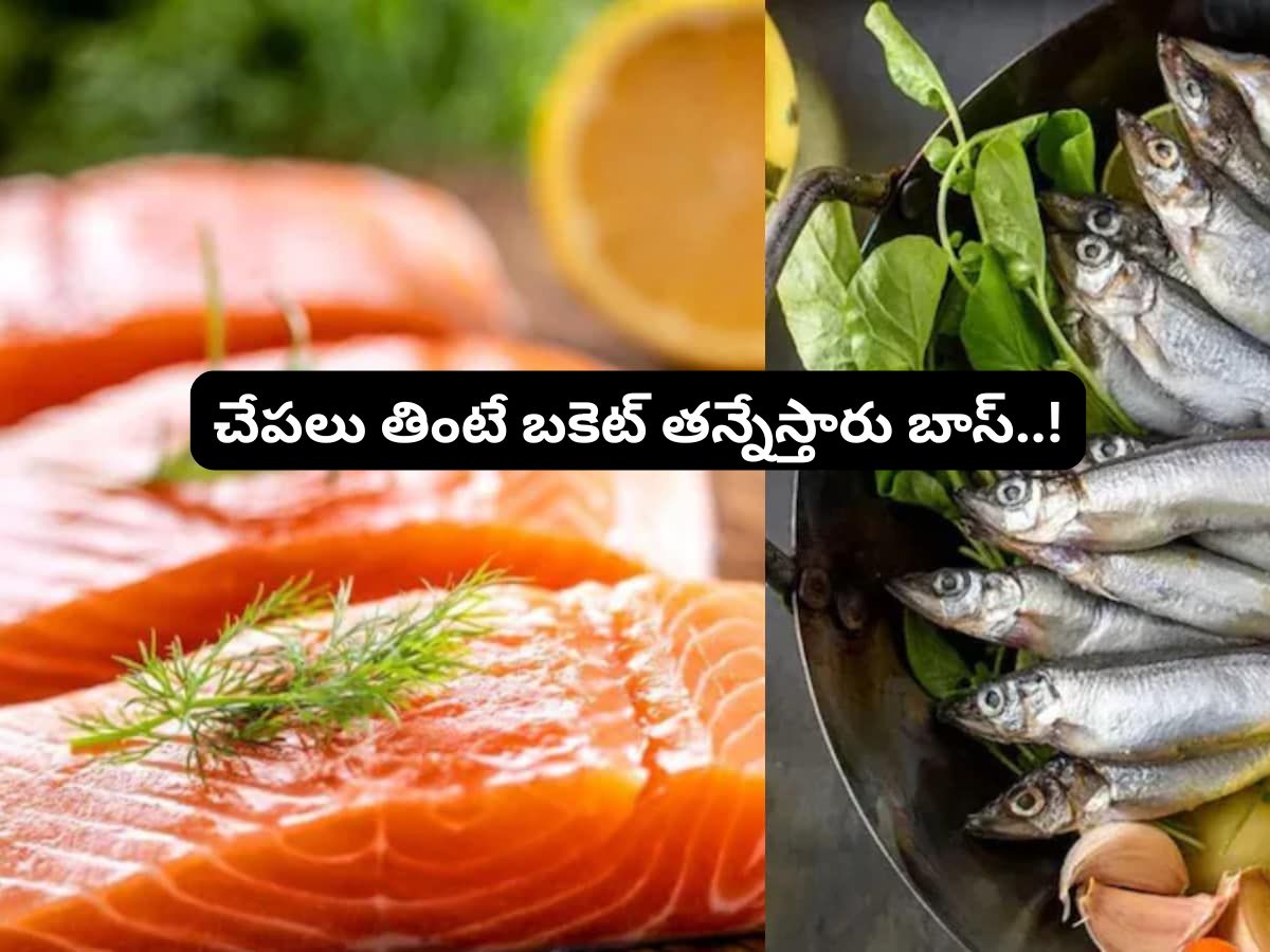 Do not eat fish: ఈ సమస్యలతో బాధపడే వారు.. పొరపాటున కూడా చేపలు తినకూడదు ...