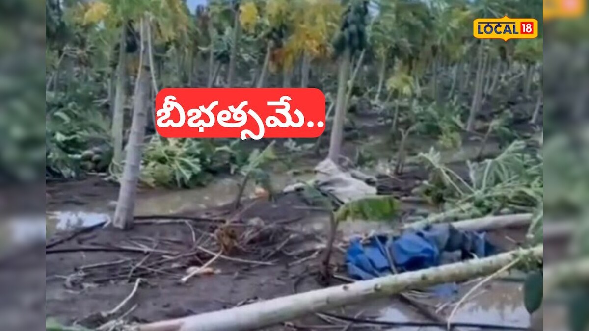 Rainfall: భారీగా ఈదురుగాలులు, దంచికొడుతున్న వర్షాలు, ఈ జిల్లా ప్రజలకు ...