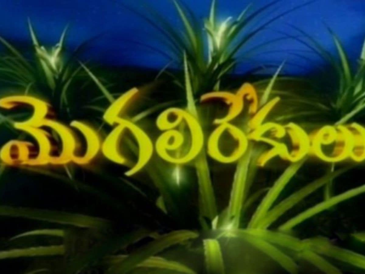 Mogali Rekulu Serial: మొగలిరేకులు సీరియల్‌ని కావాలనే ఆపేశారా.. కారణం ...